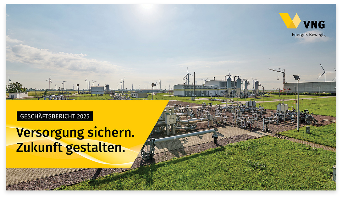 Publikationen | VNG AG
